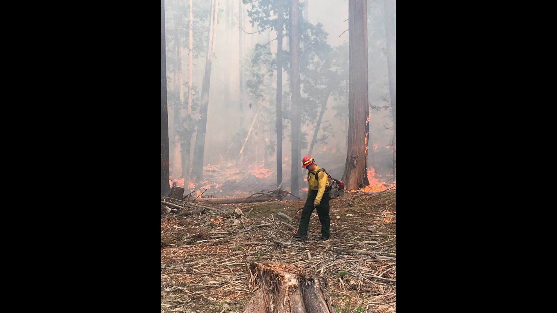 Fire officials to start prescribed burns in Colville National Forest as ...