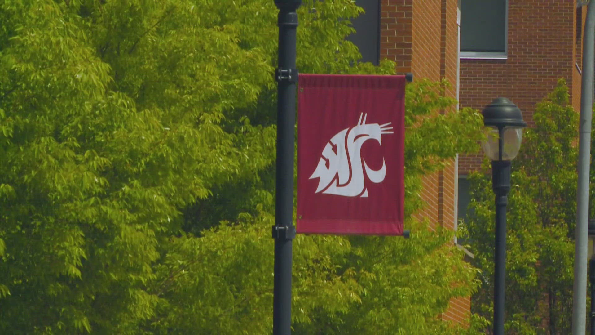 WSU Greek Row parties paused after 'safety-related incidents' | krem.com