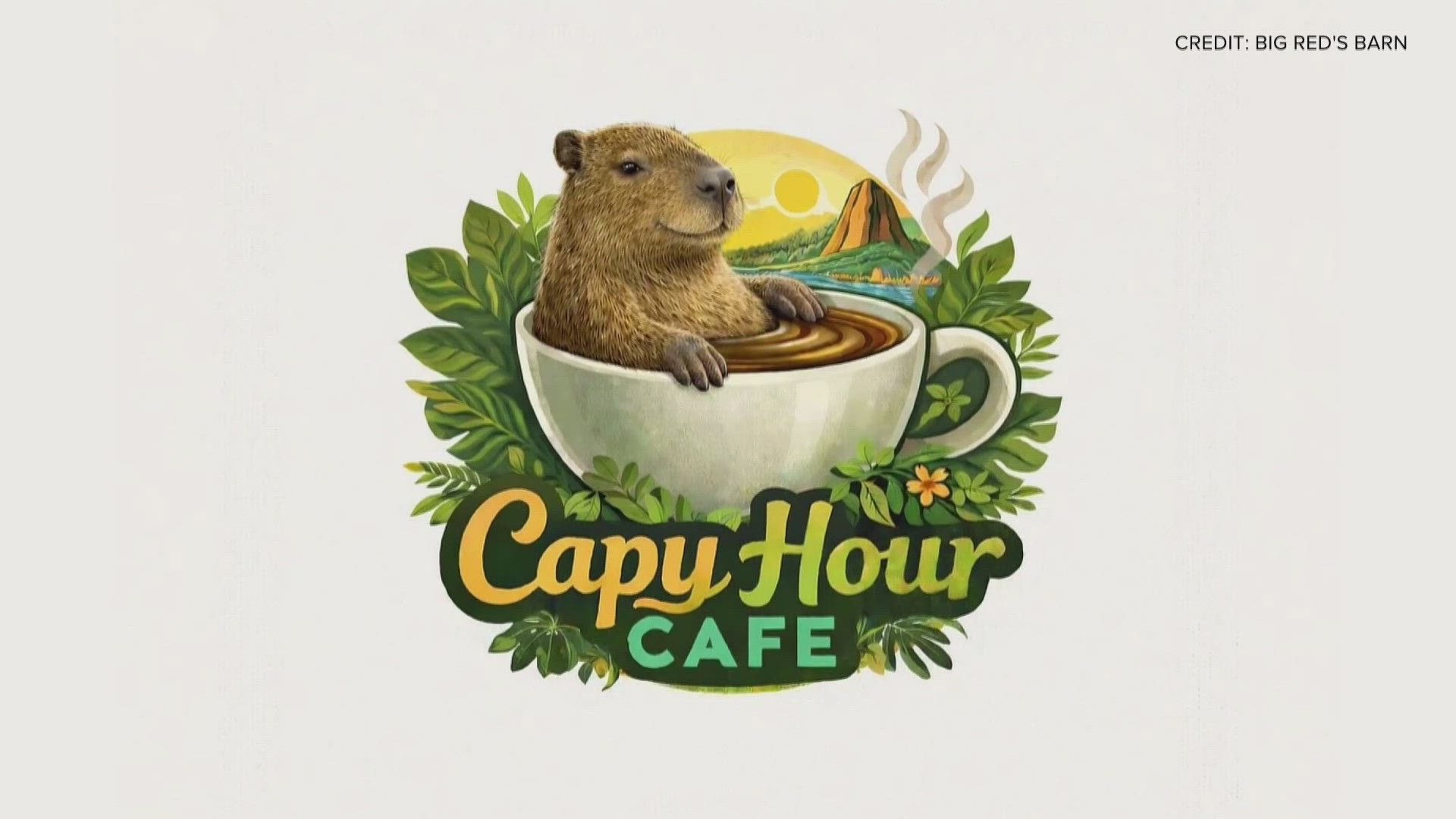 Have coffee with capybaras in Coeur d'Alene! | krem.com