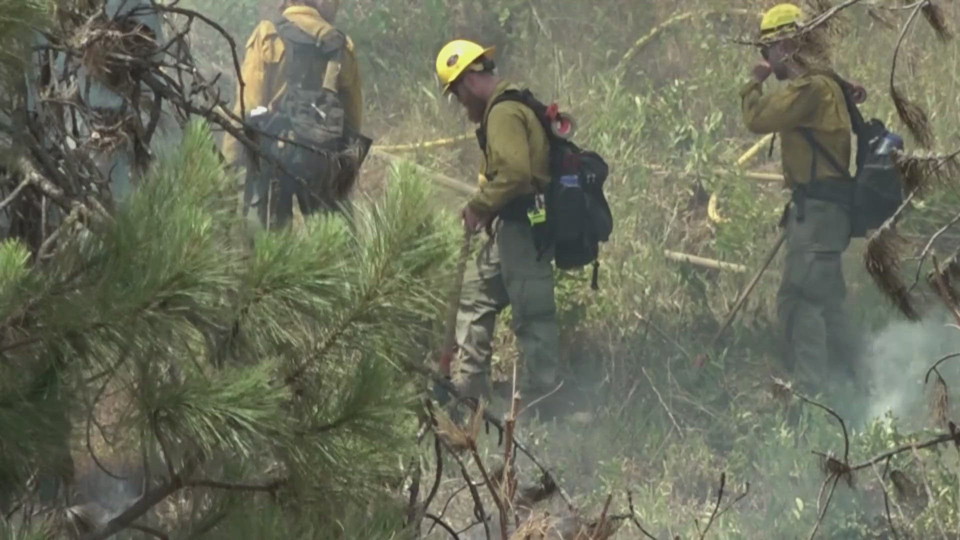 Fire crews responding to brush fire with 'multiple starts' near ...