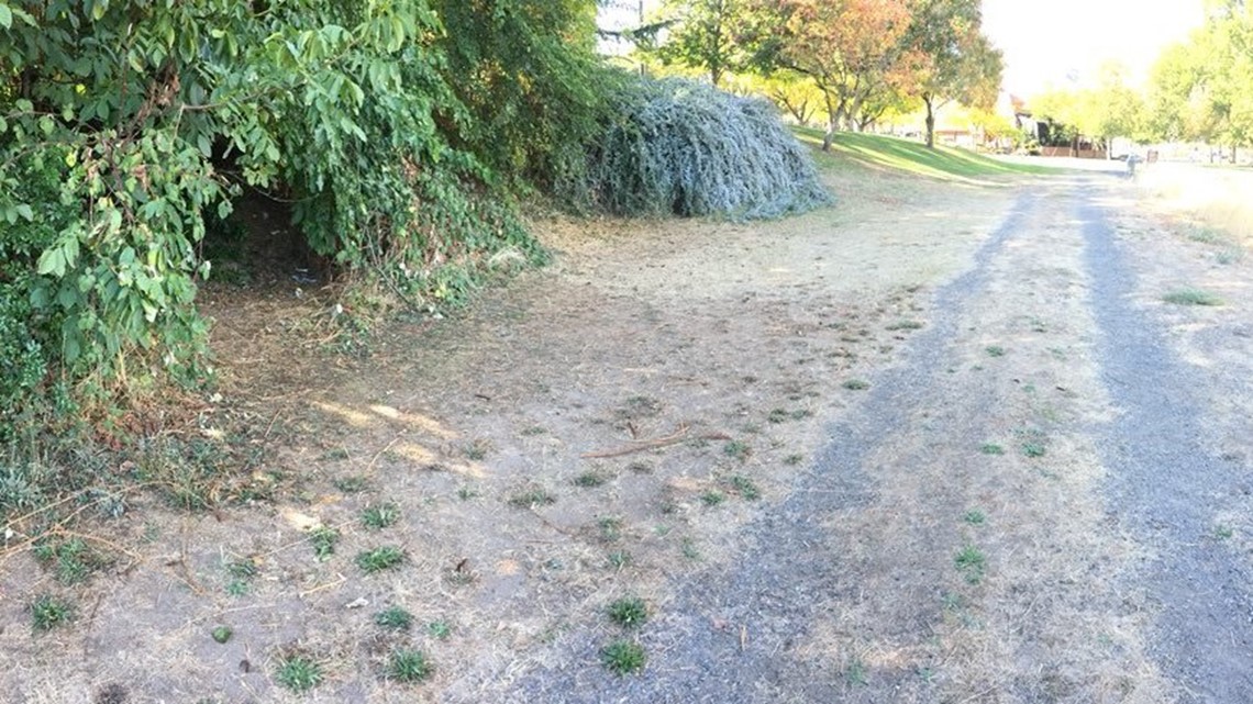 Man accused of grabbing Asotin HS runner goes to police dressed as ...