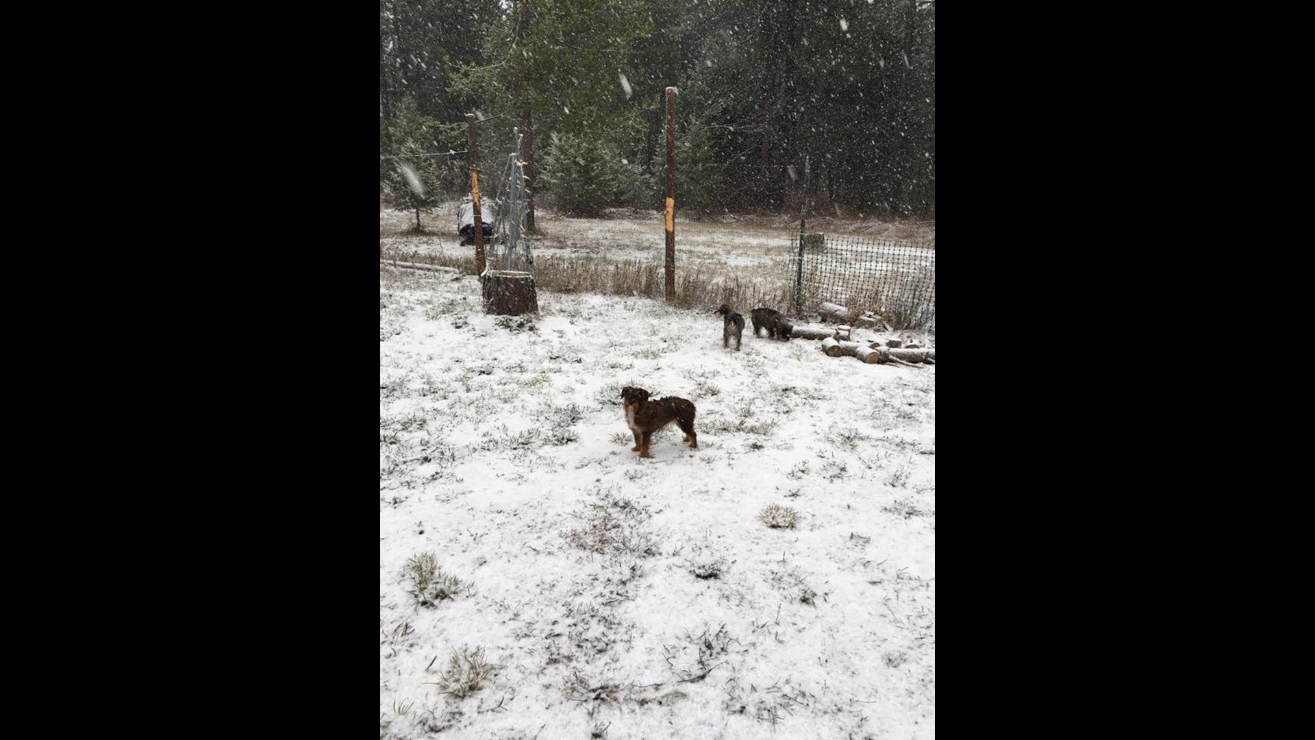 First snowfall in Spokane, parts of Inland Northwest | krem.com