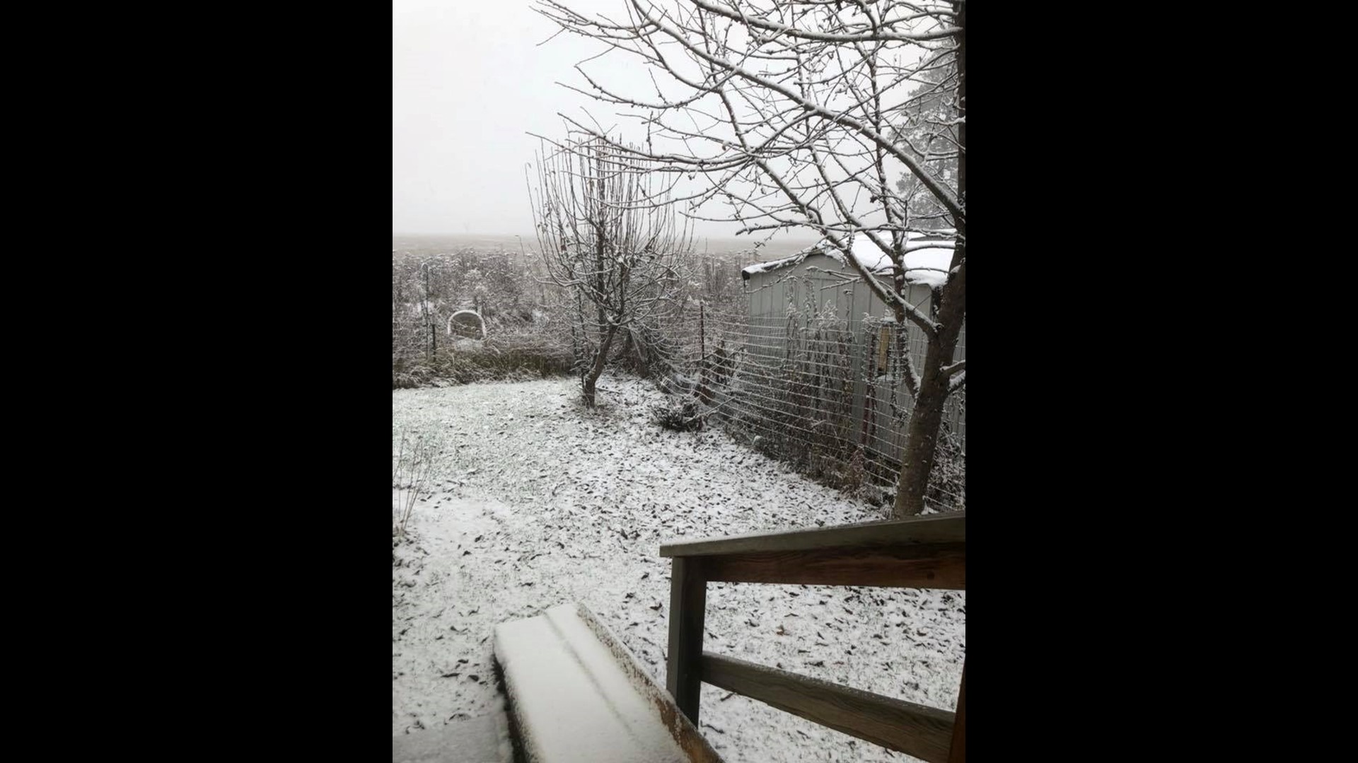 First snowfall in Spokane, parts of Inland Northwest | krem.com