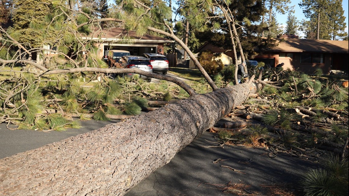 Latest updates on Spokane-area road closures during windstorm | krem.com
