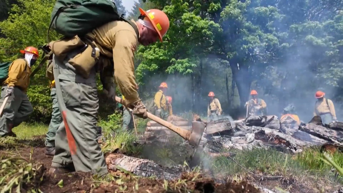 Commissioner Upthegrove warns 2026 fire season could be bad | krem.com