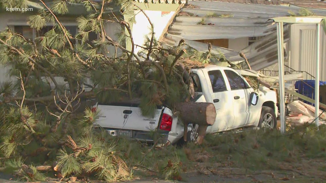 Two people in truck survive downed tree in Mead | krem.com