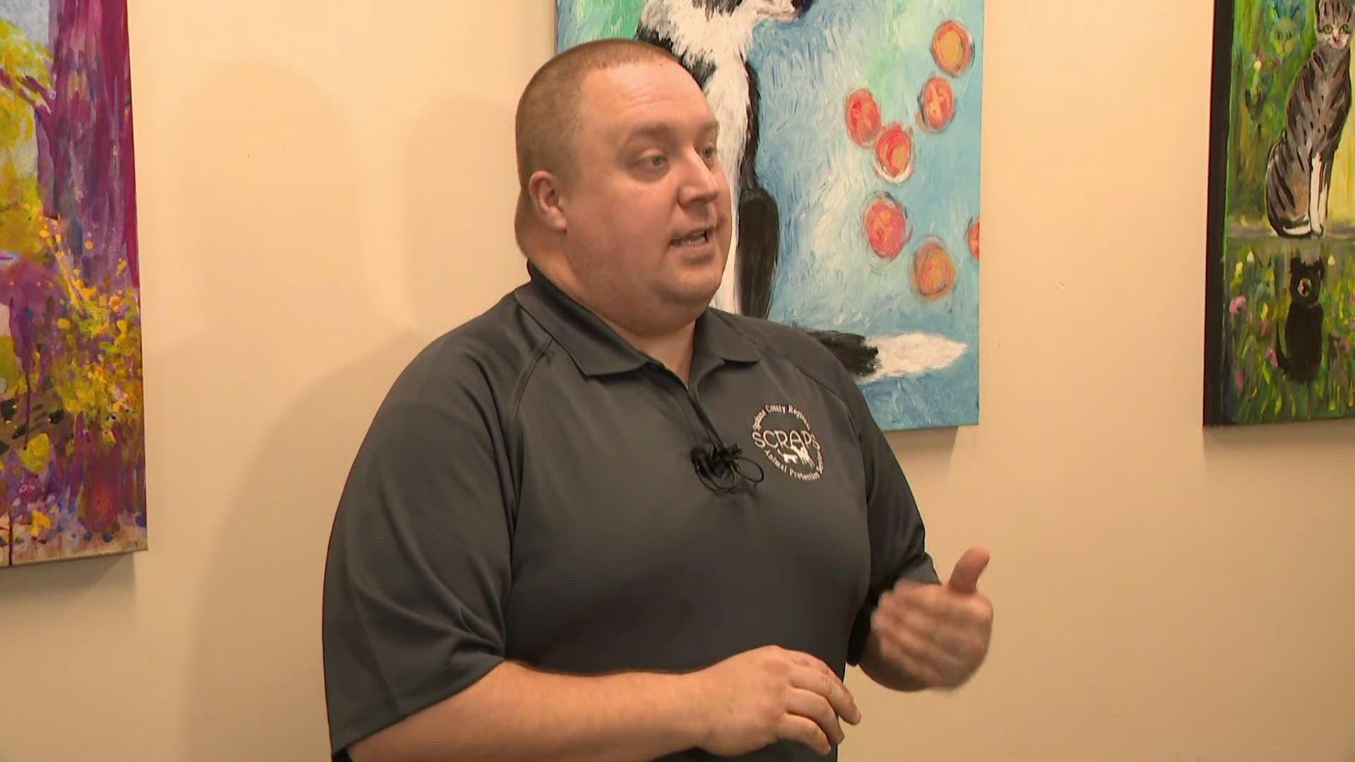 Got milk? Trump signs bill allowing schools to offer whole and 2% milk ...