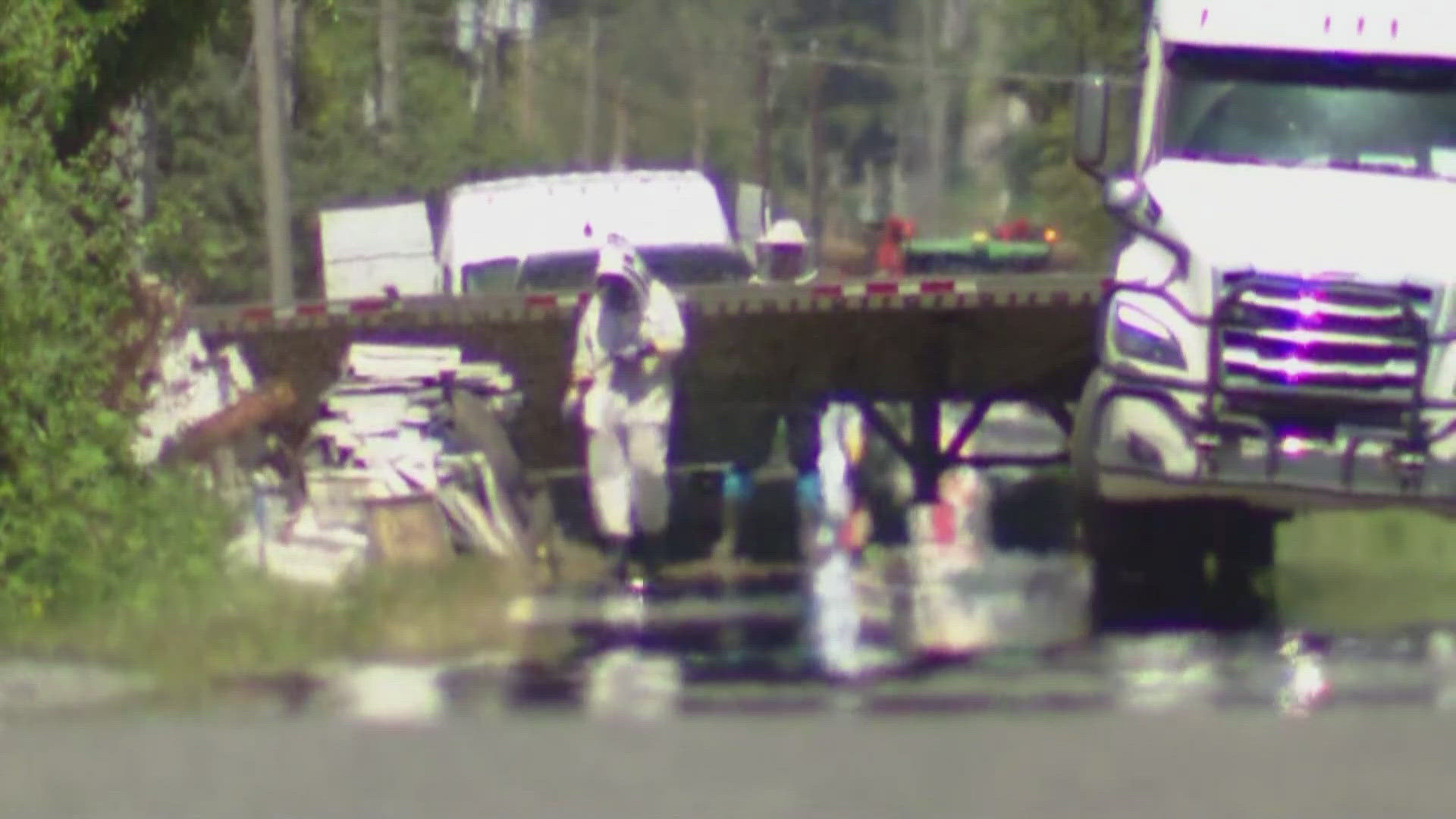 Semi-truck carrying 250 million bees crashes in Whatcom County. Now the ...