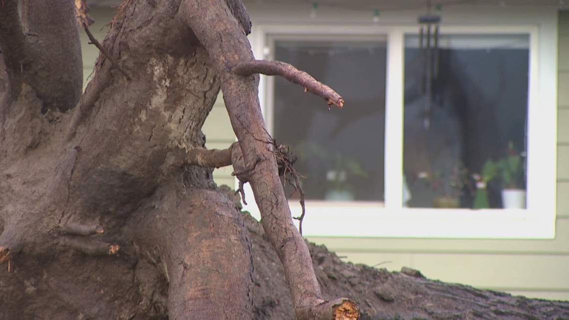 Storm damage impacts Leavenworth, Washington | krem.com