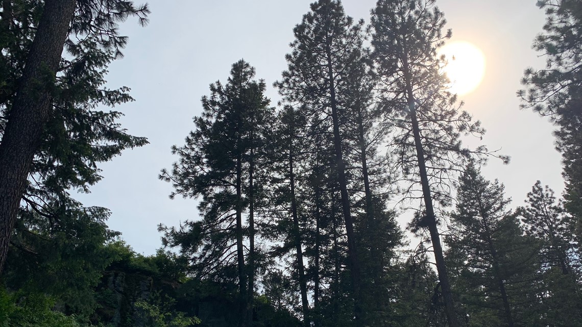 Spring-like, mostly sunny weather in Spokane this weekend | krem.com