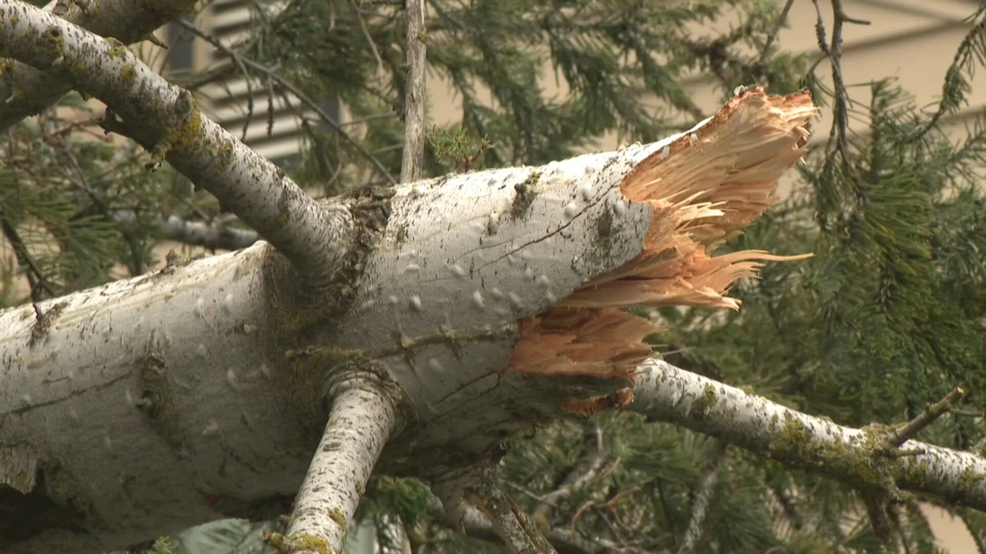 Officials warn residents on storm safety | krem.com