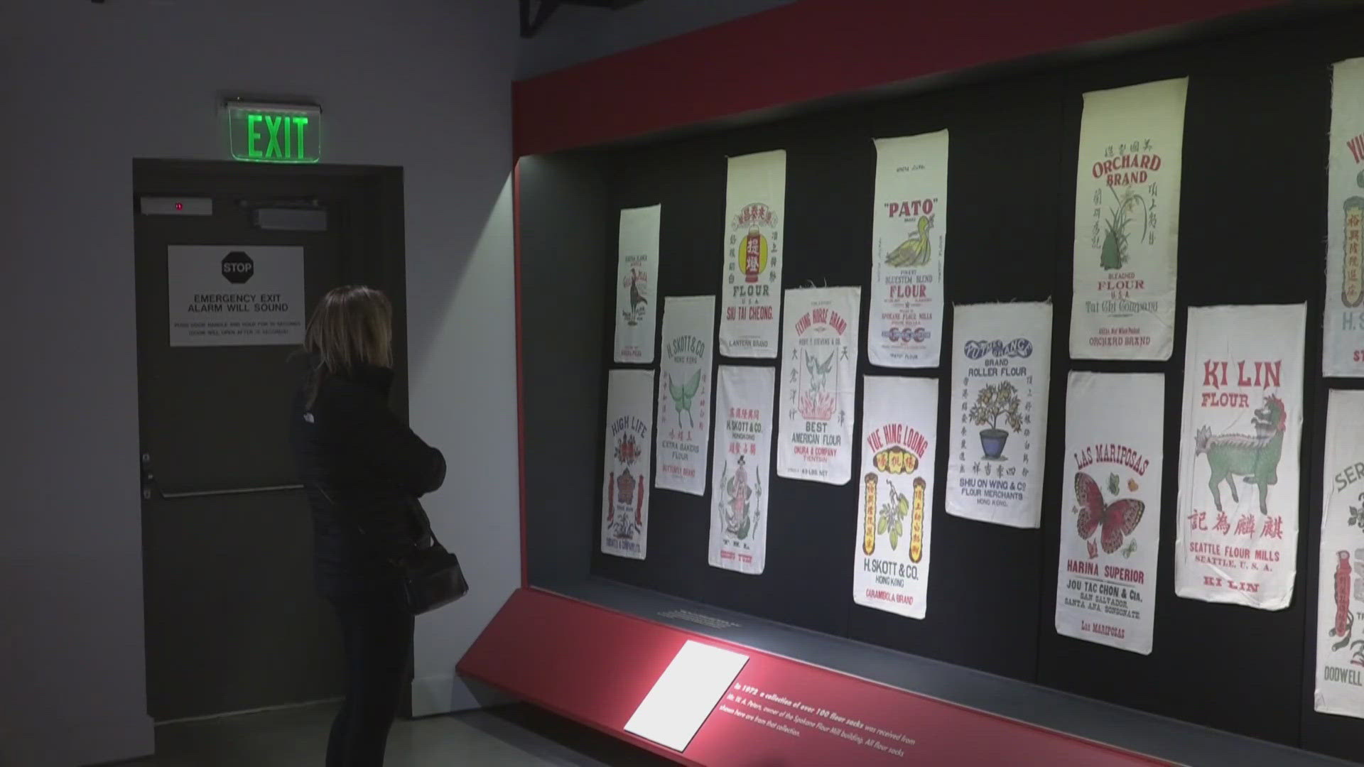 Suspected case of chronic wasting disease in Ferry County mule deer ...