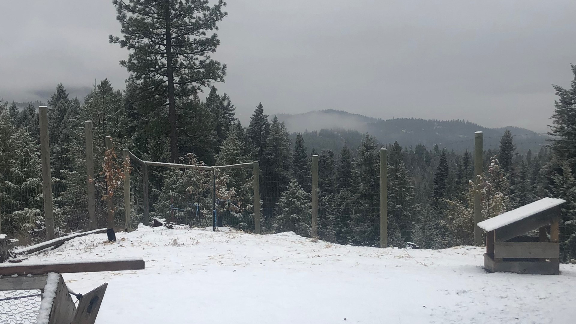 Tuesday weather: Snow falling in Spokane area, North Idaho | krem.com