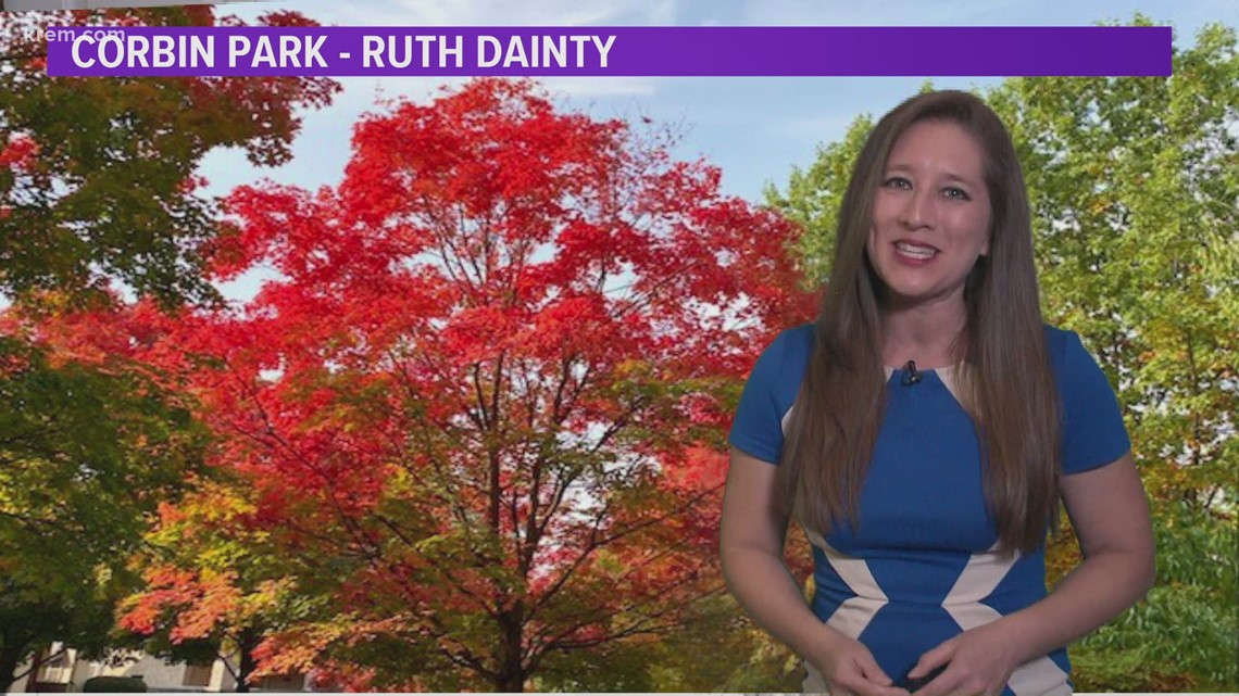 Michelle Boss's Forecast at 11 p.m. October 8, 2020 | krem.com