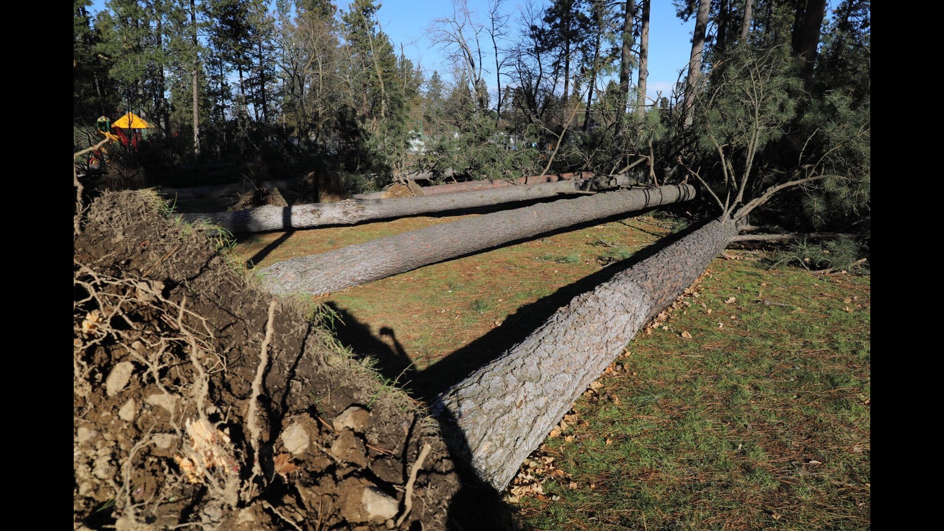 Spokane-area windstorm leaves 2 dead, another injured | krem.com