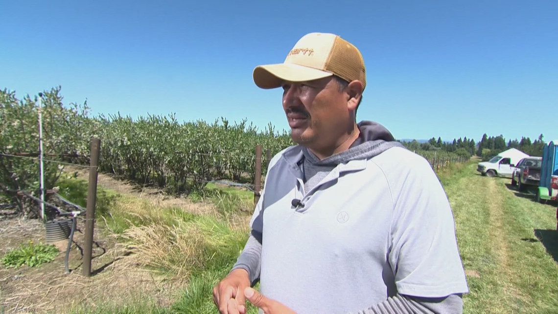 Farm workers fear ICE arrests but still show up to work | krem.com