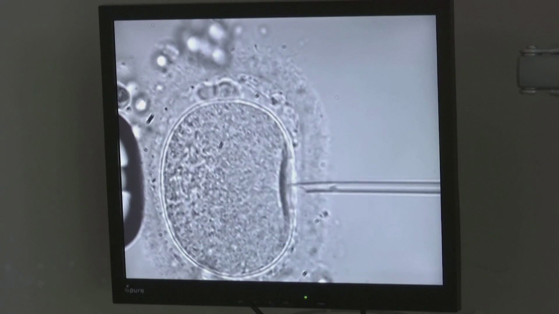 Senate to vote on bill to protect access to IVF | krem.com