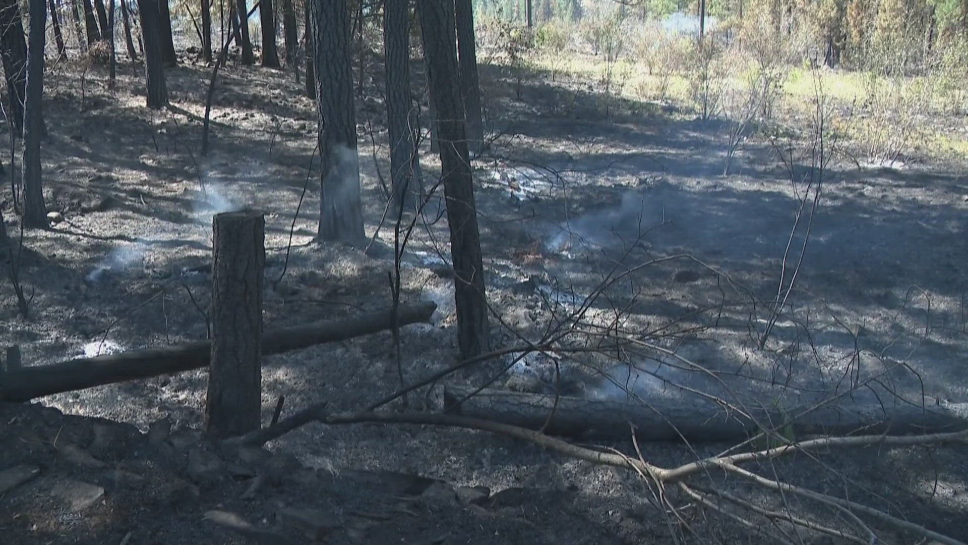Aubrey Wildfire prompts evacuations in Spokane County | krem.com