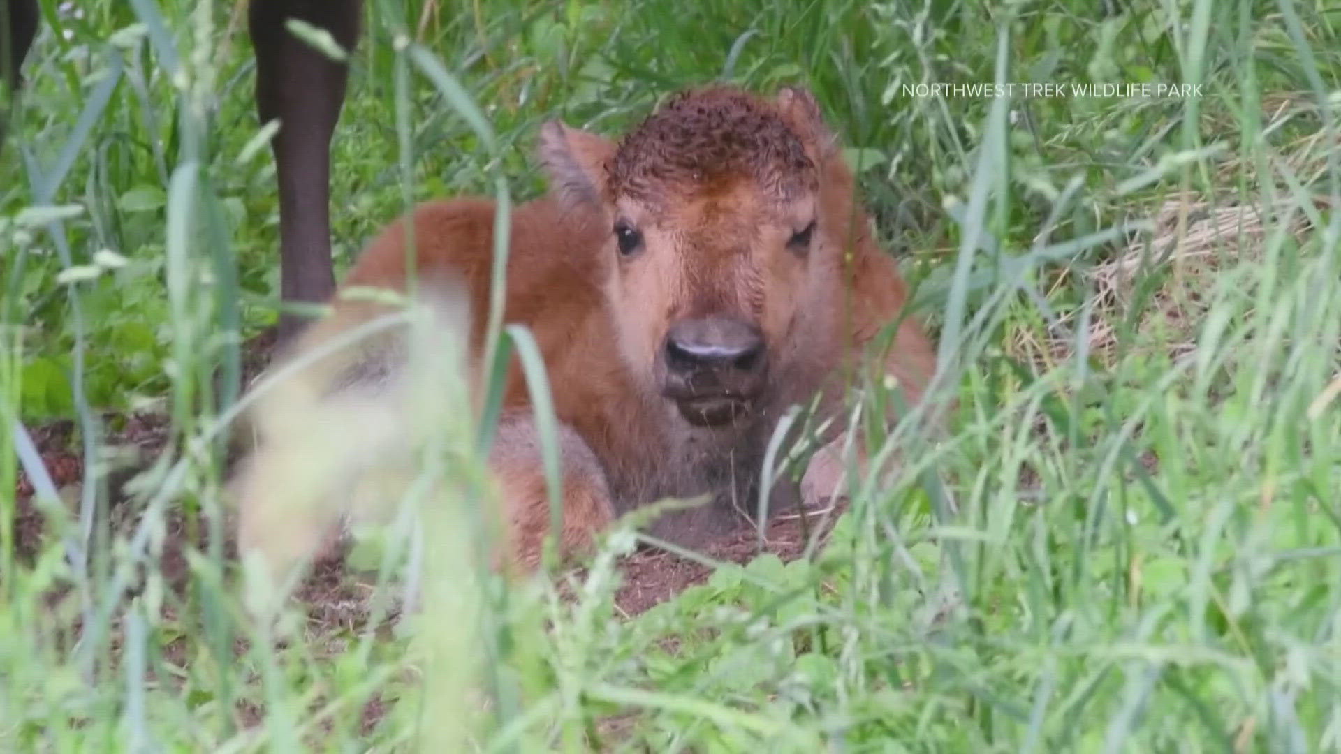 John Reed sentenced to life in prison for Oso couple's murder | krem.com