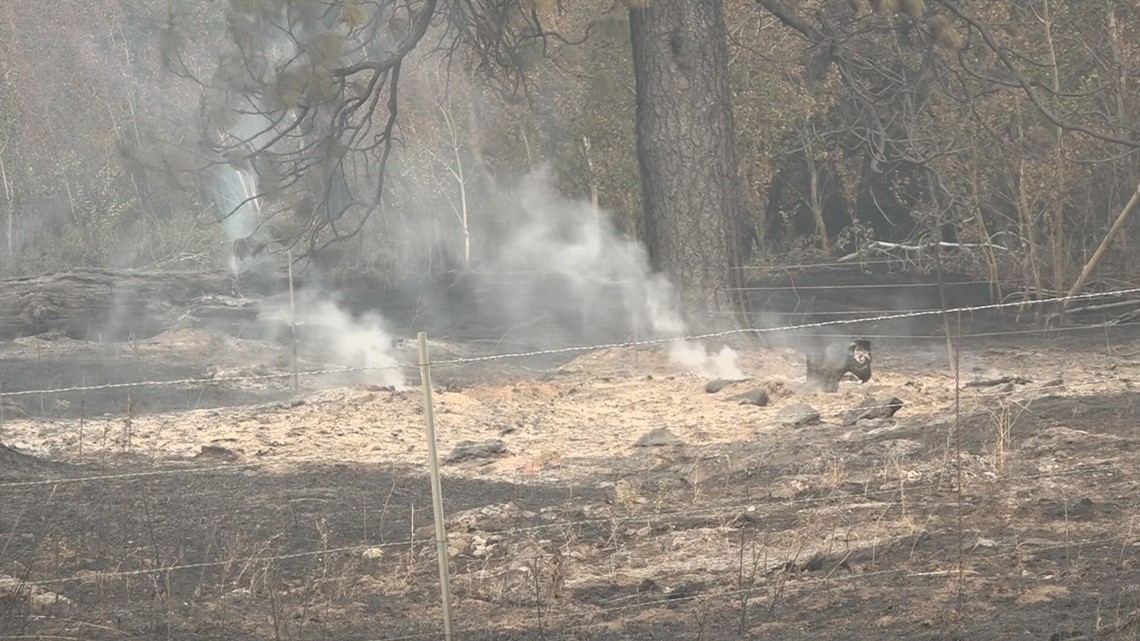 Victims of the Gray Fire file lawsuit against Inland Power Company ...