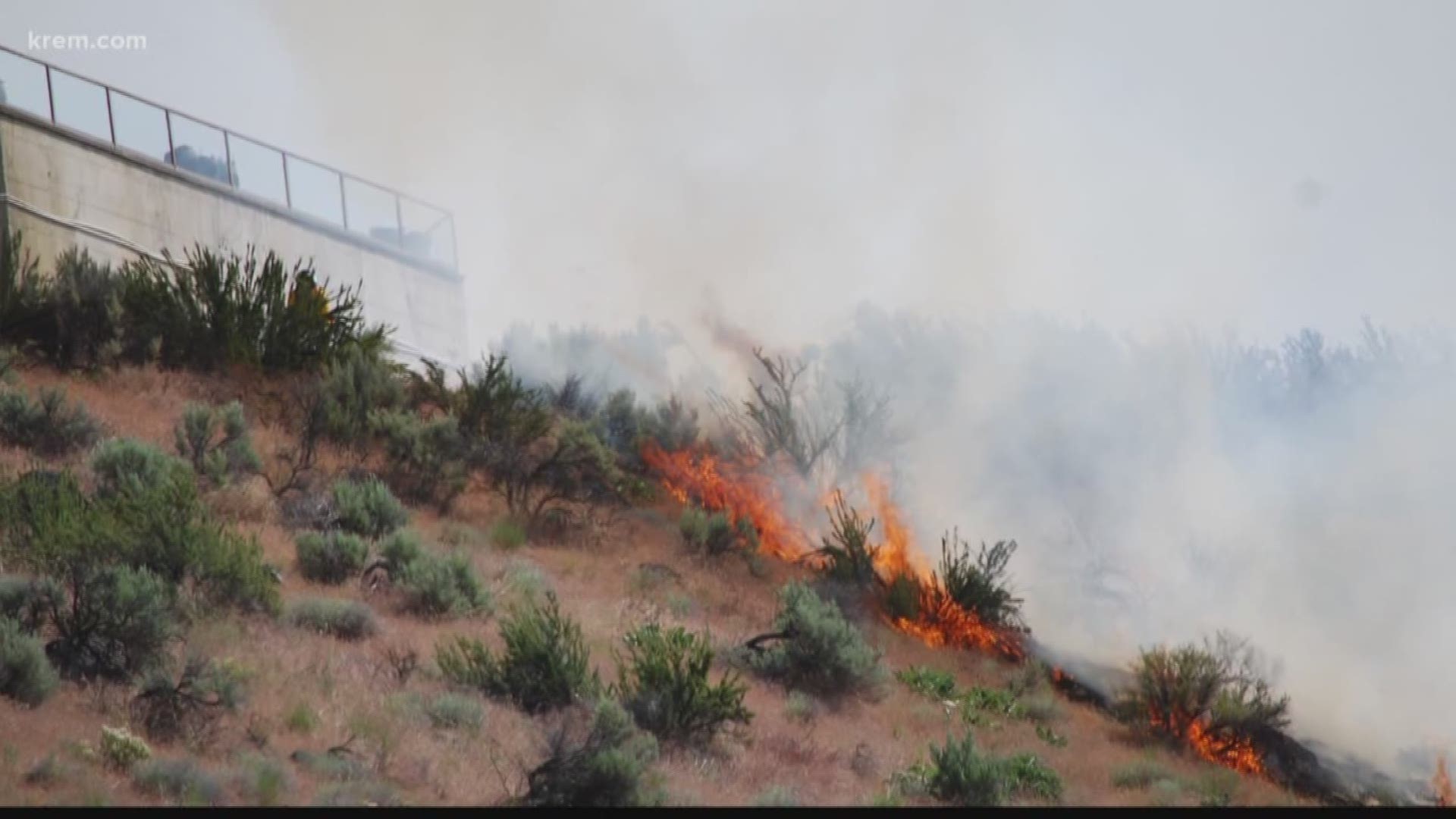 Chelan brush fire contained after threatening nearly 50 homes, causing ...