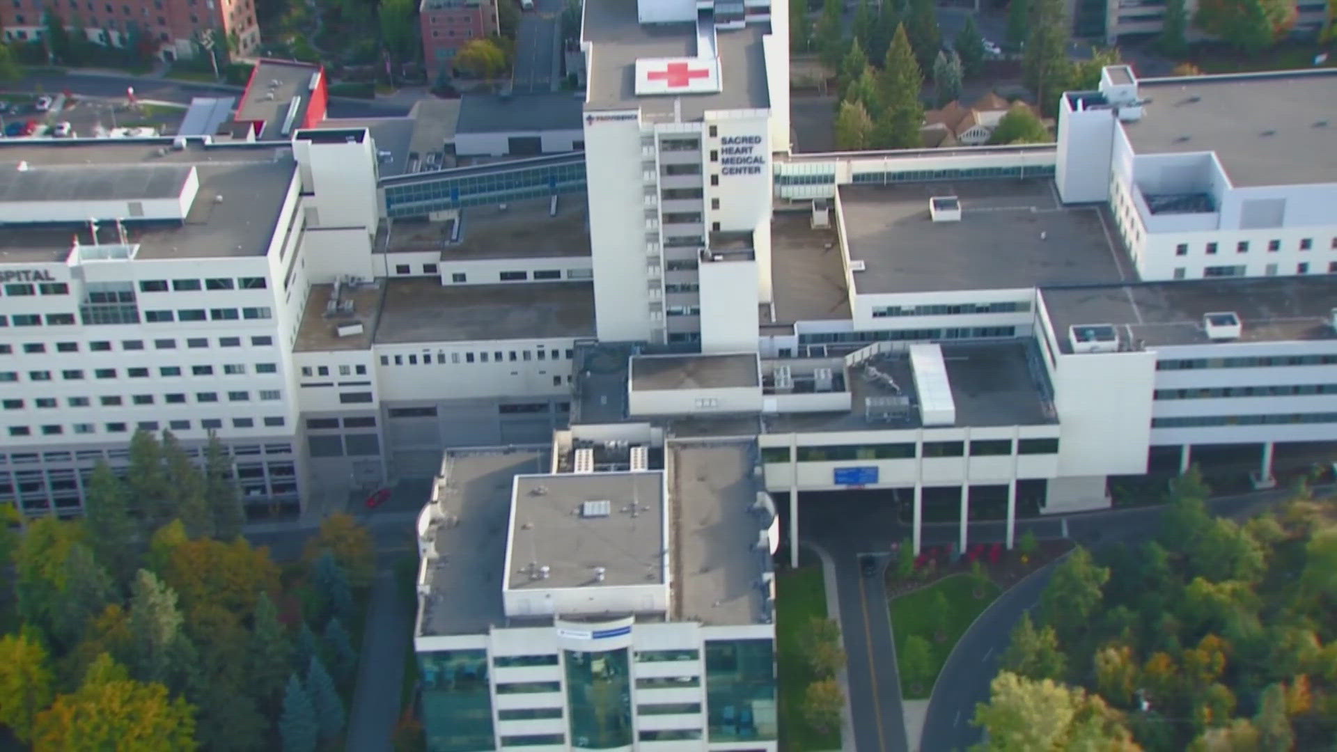 Trump calls for 10% cap on credit card rates | krem.com