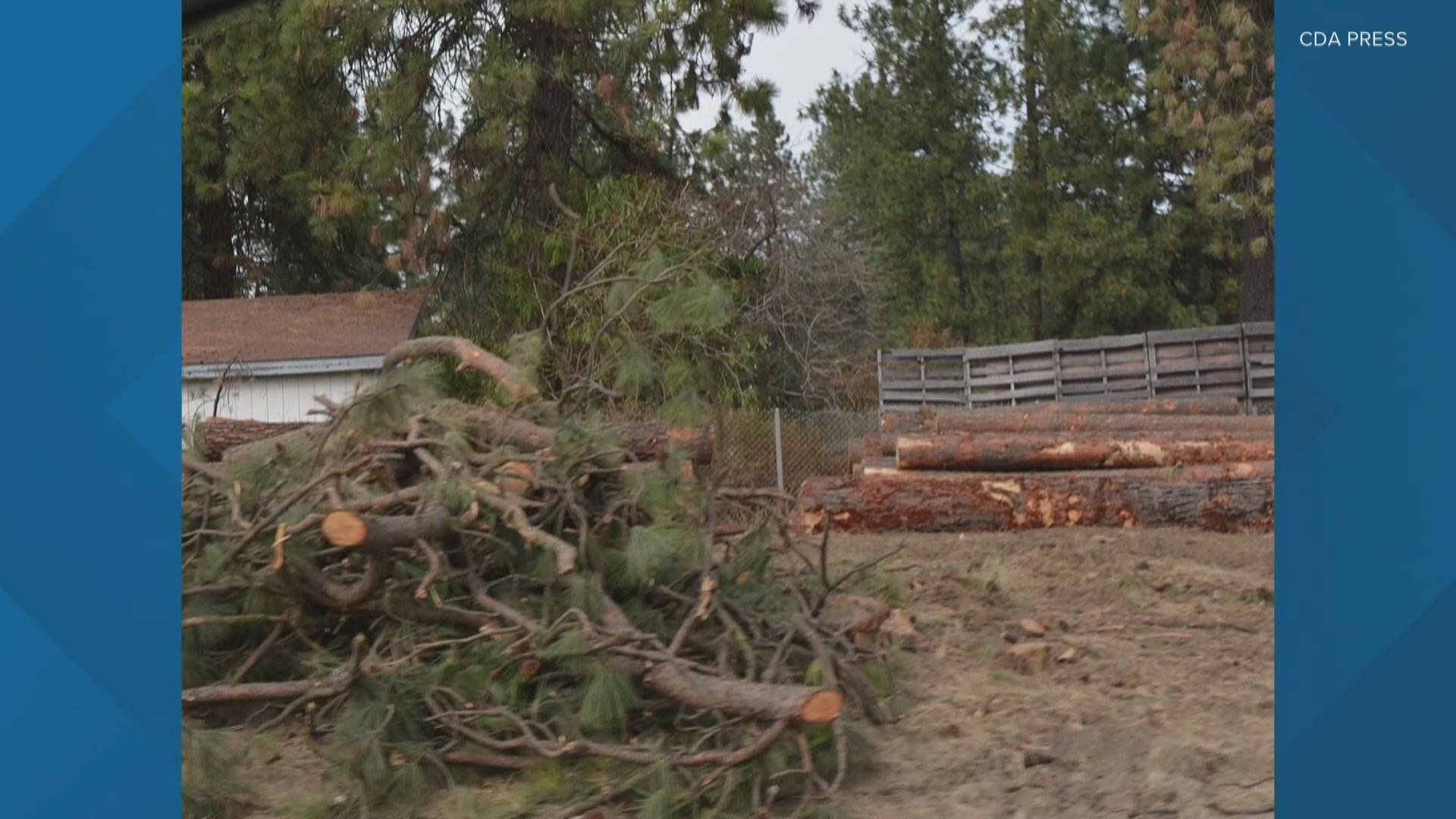 Trees come down for work on I-90 in Coeur d'Alene | krem.com