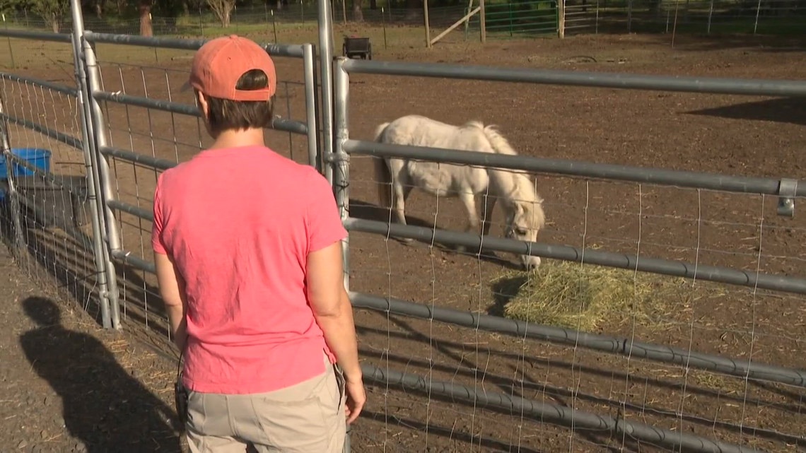 HEART aids local residents in prepping pets for wildfire evacuations ...