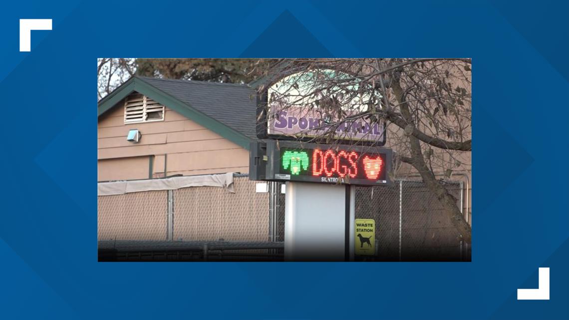 Shasta Groene McClain shares her survival story in new book | krem.com