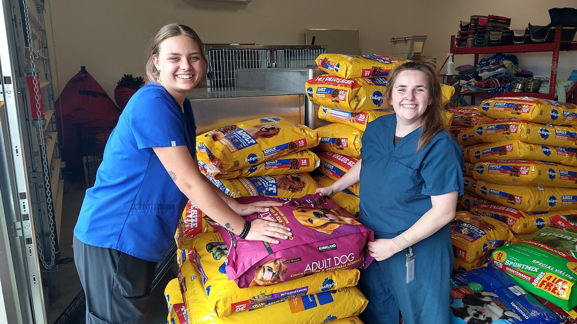 Donations flood Hayden animal shelter after report of pet food shortage ...