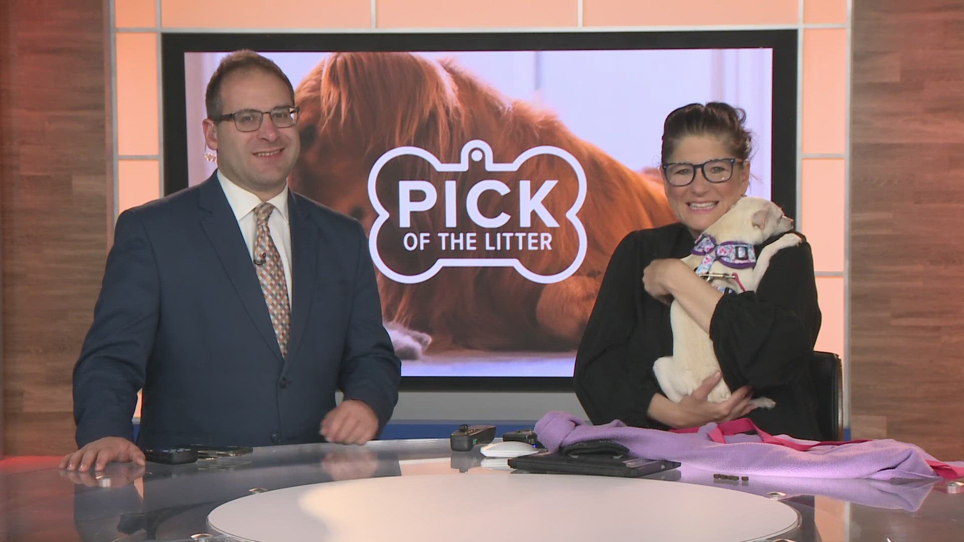 Meet Pinky! | Pick of the Litter on Tuesday, June 11, 2024 | krem.com