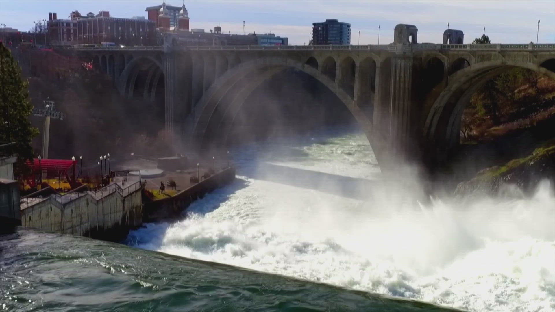 Here are the different offers for 509 Day in Spokane | krem.com