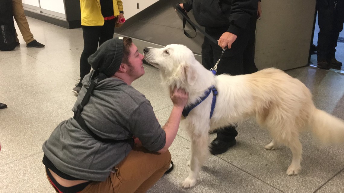 Airman, long-lost dog reunited in Spokane on Valentine's Day | krem.com