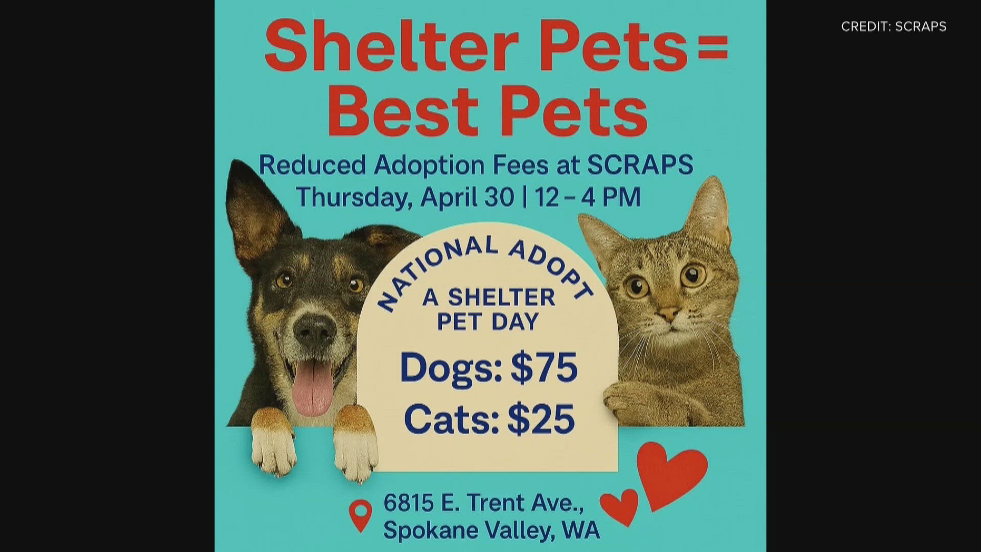 SCRAPS celebrating "National Adopt a Shelter Pet Day" with discounted ...