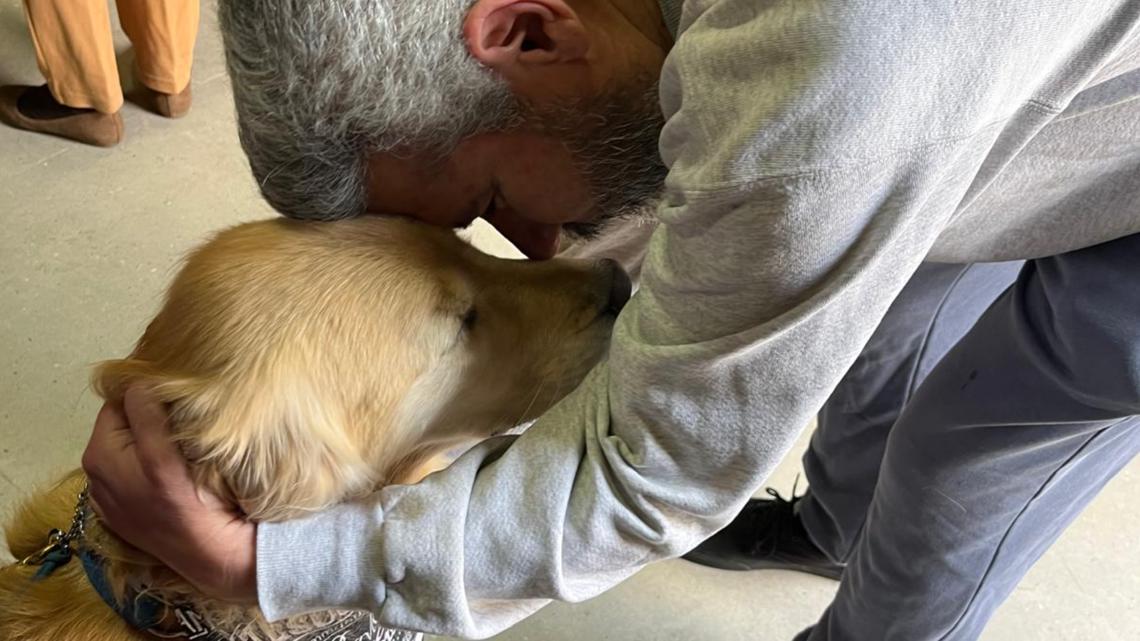 Isaac, the Spokane Valley comfort dog, giving love to L.A. wildfire ...