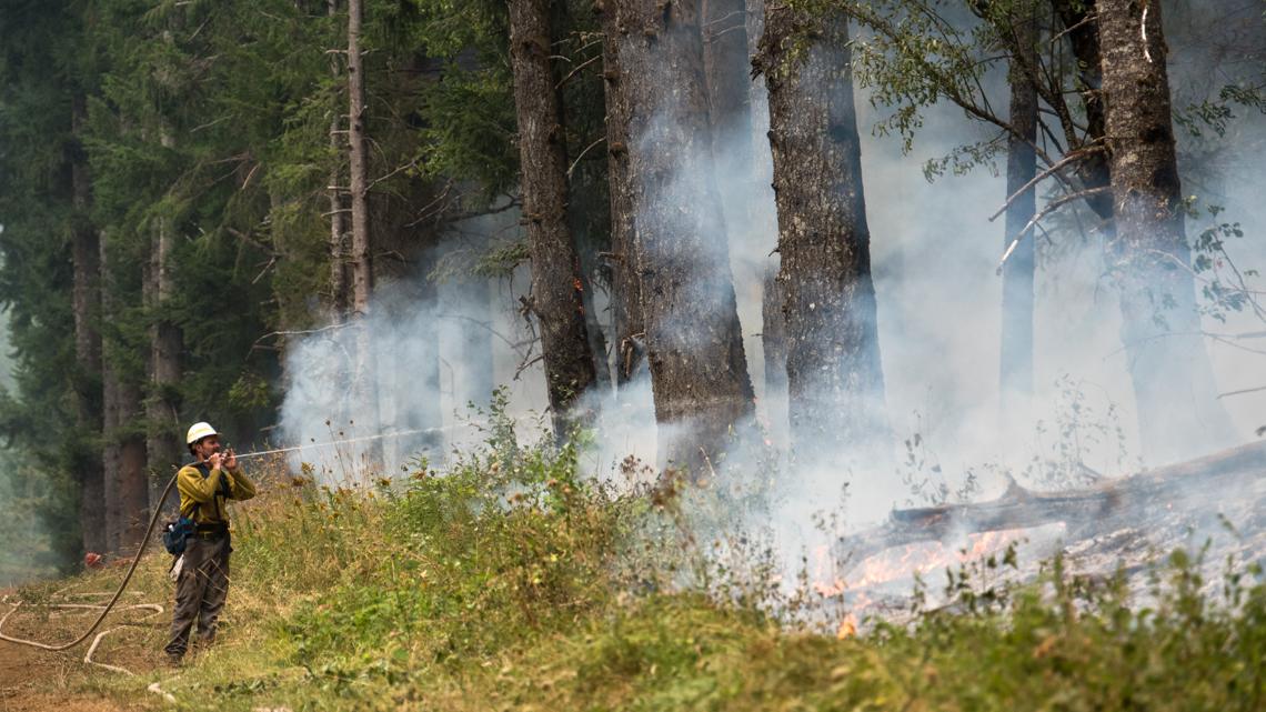 WA wildfire season plans at risk amid budget woes, federal uncertainty ...