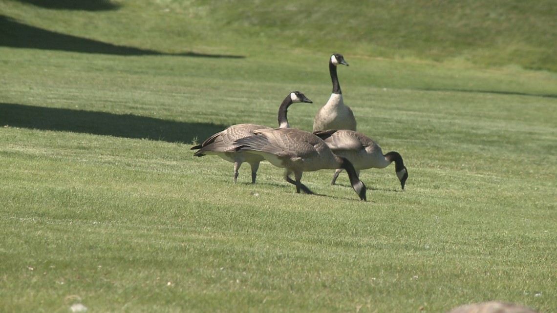 Ice storm hit Spokane, North Idaho 23 years ago in 1996 | krem.com