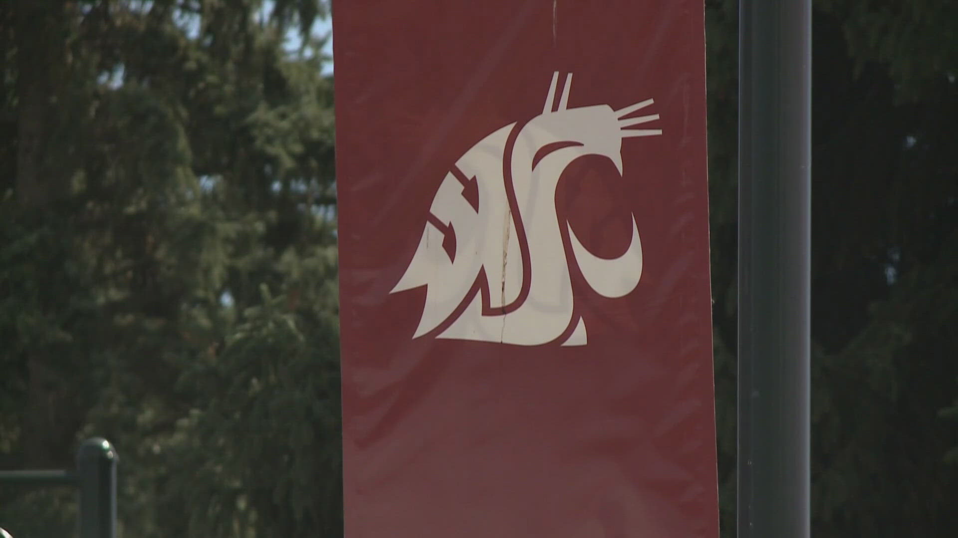WSU fraternity loses recognition for next five years for hazing ...