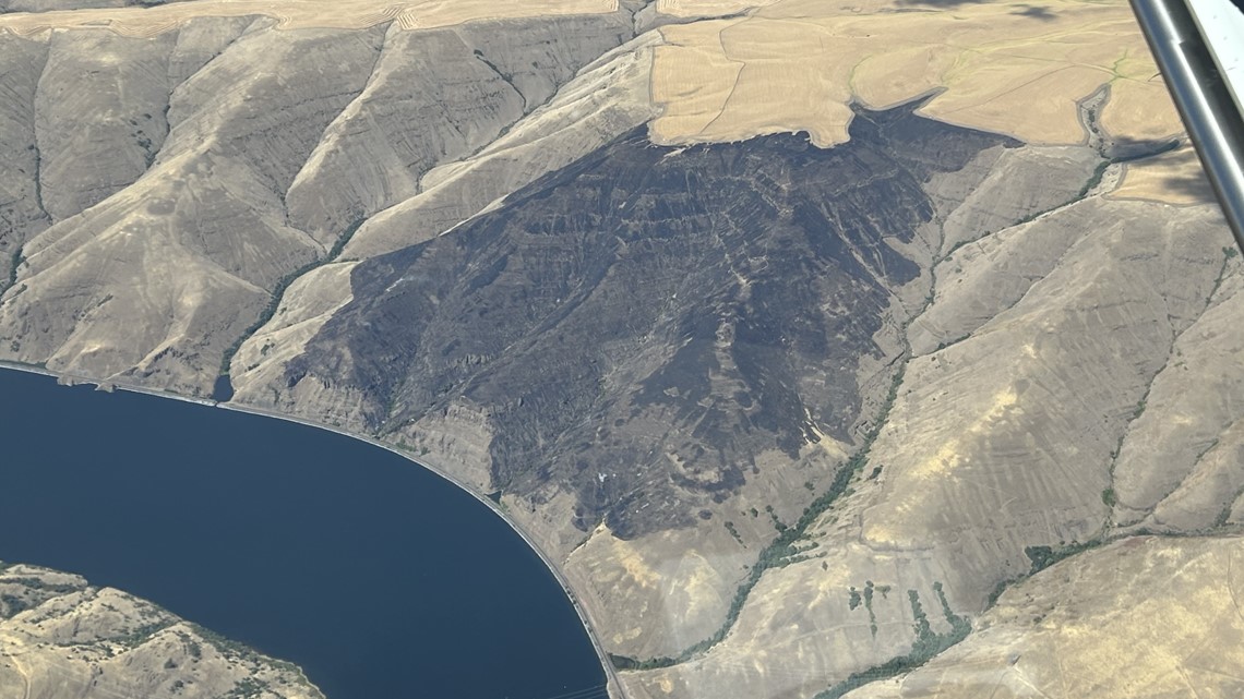 State fire agencies mobilized for Wawawai fire | krem.com