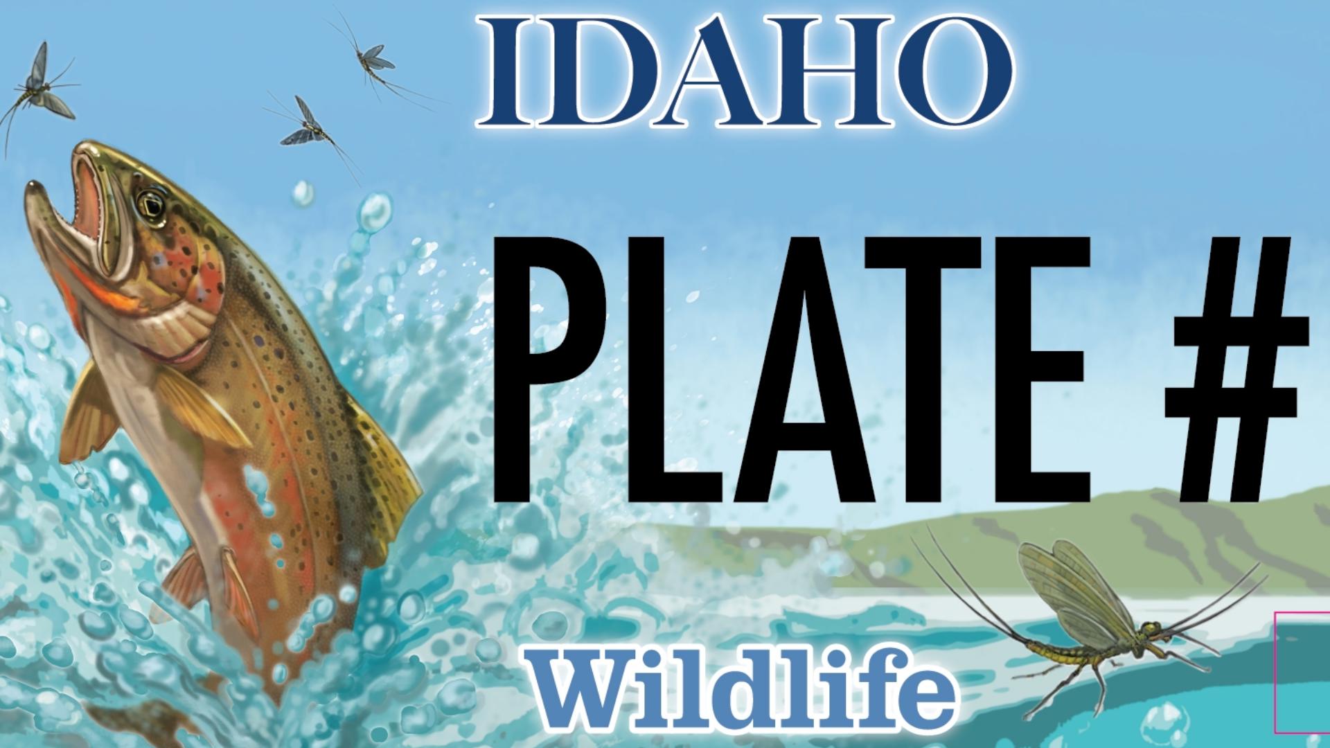 New Idaho license plates benefit wildlife conservation | krem.com