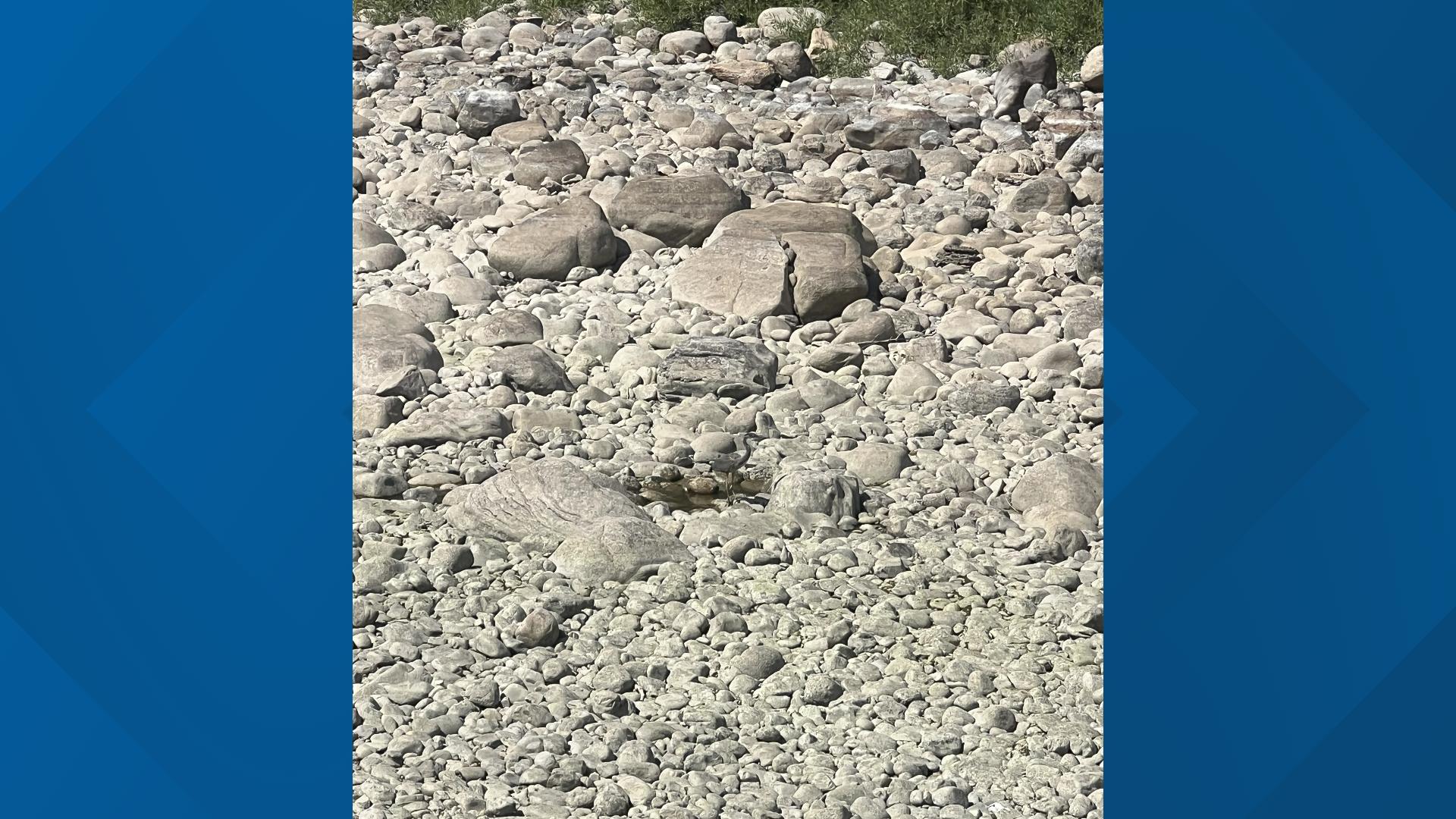 Spokane Riverkeeper photos show dried-up section of river in Spokane ...