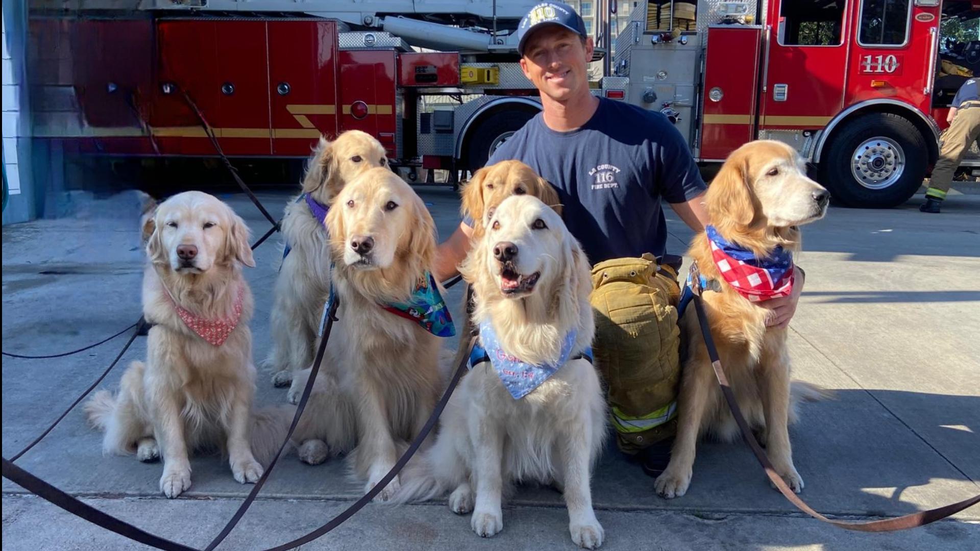 Isaac, the Spokane Valley comfort dog, giving love to L.A. wildfire ...