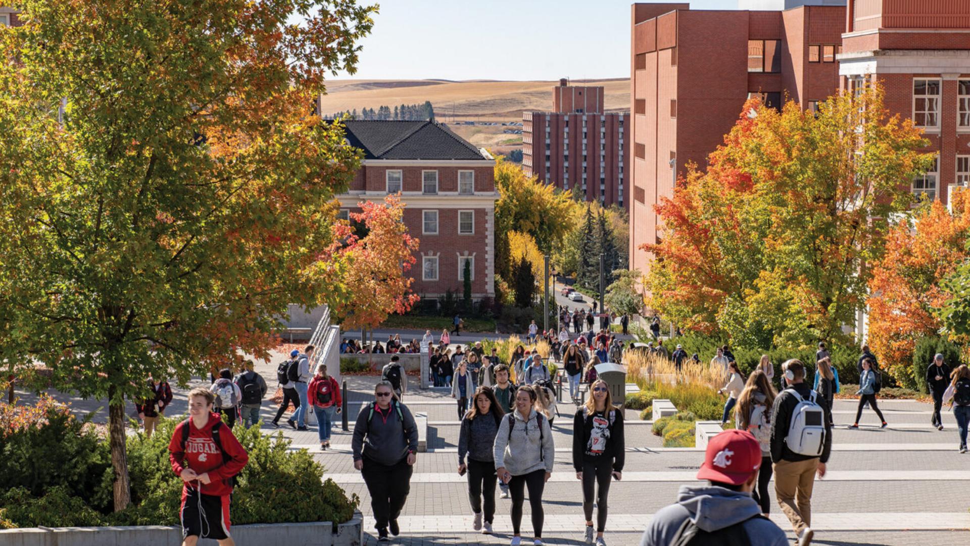 WSU reports third year of rising first-year enrollments | krem.com