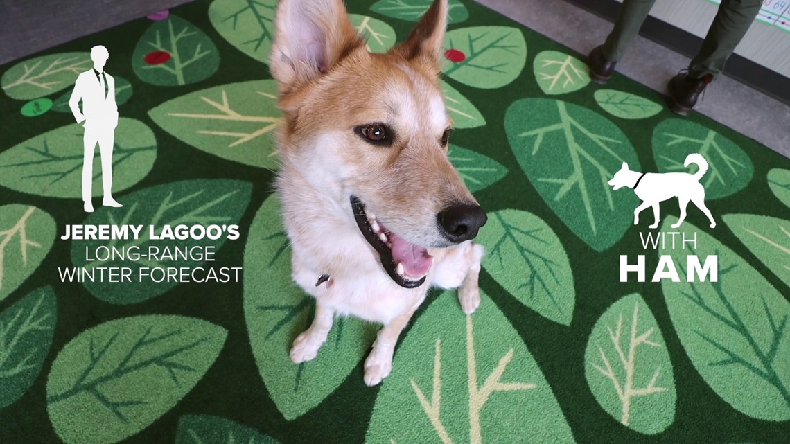 Spokane's long-range winter forecast | 2023 | krem.com