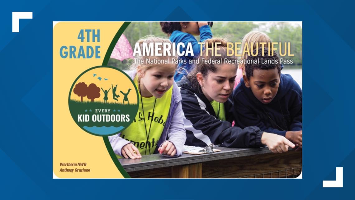 IPNF offering 4th graders free Christmas tree permit, public lands pass ...