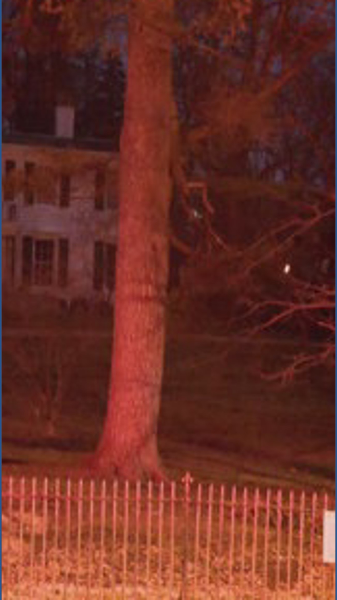 Man who broke windows at Vance's Ohio home is detained, the Secret ...