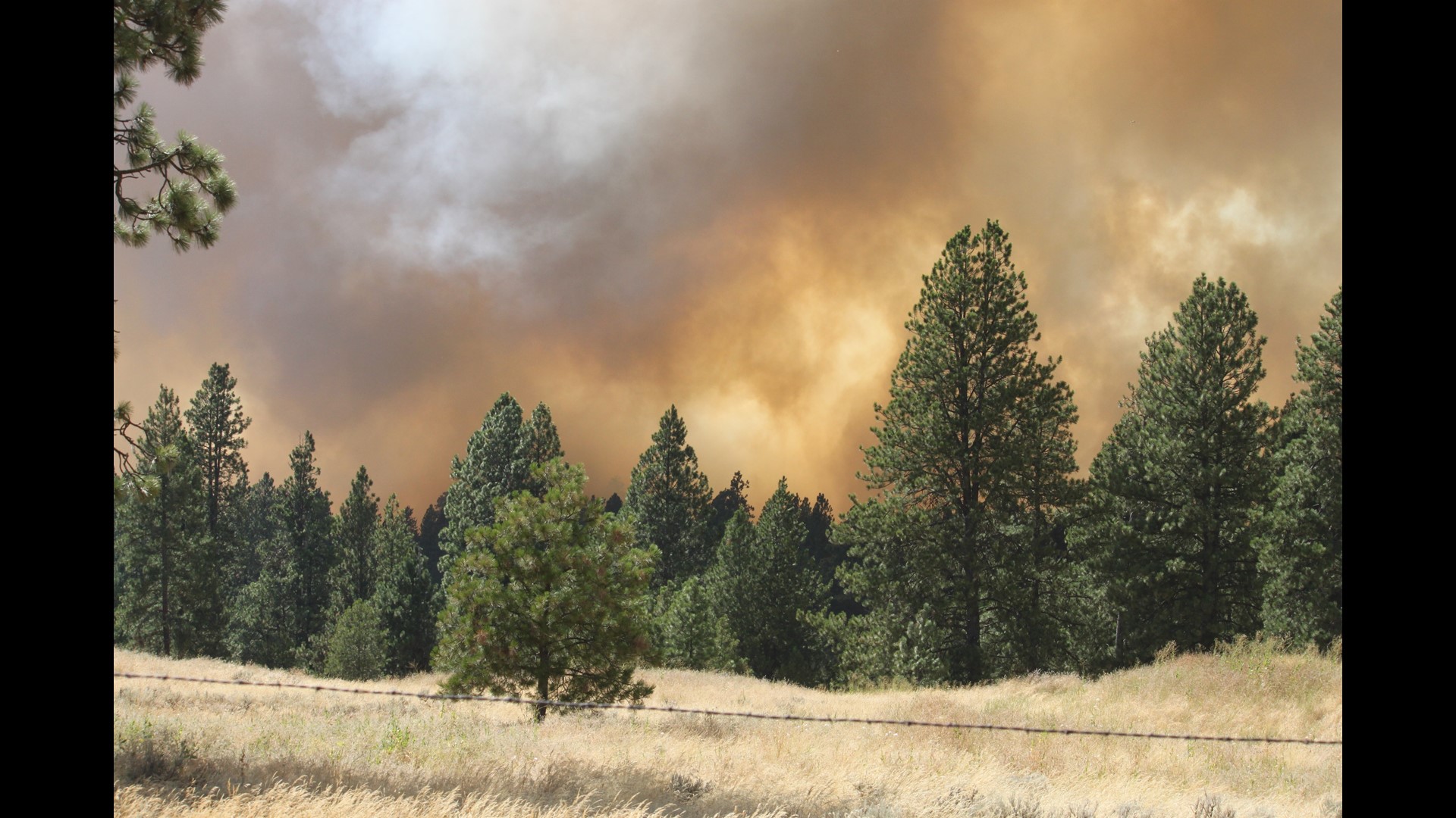 Evacuations lifted for Williams Lake Fire in Cheney | krem.com