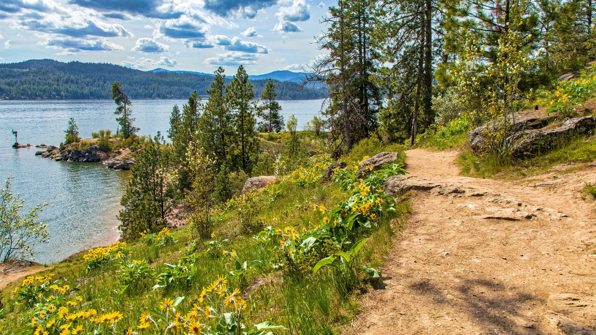 Best Coeur d'Alene beaches to go swimming | krem.com