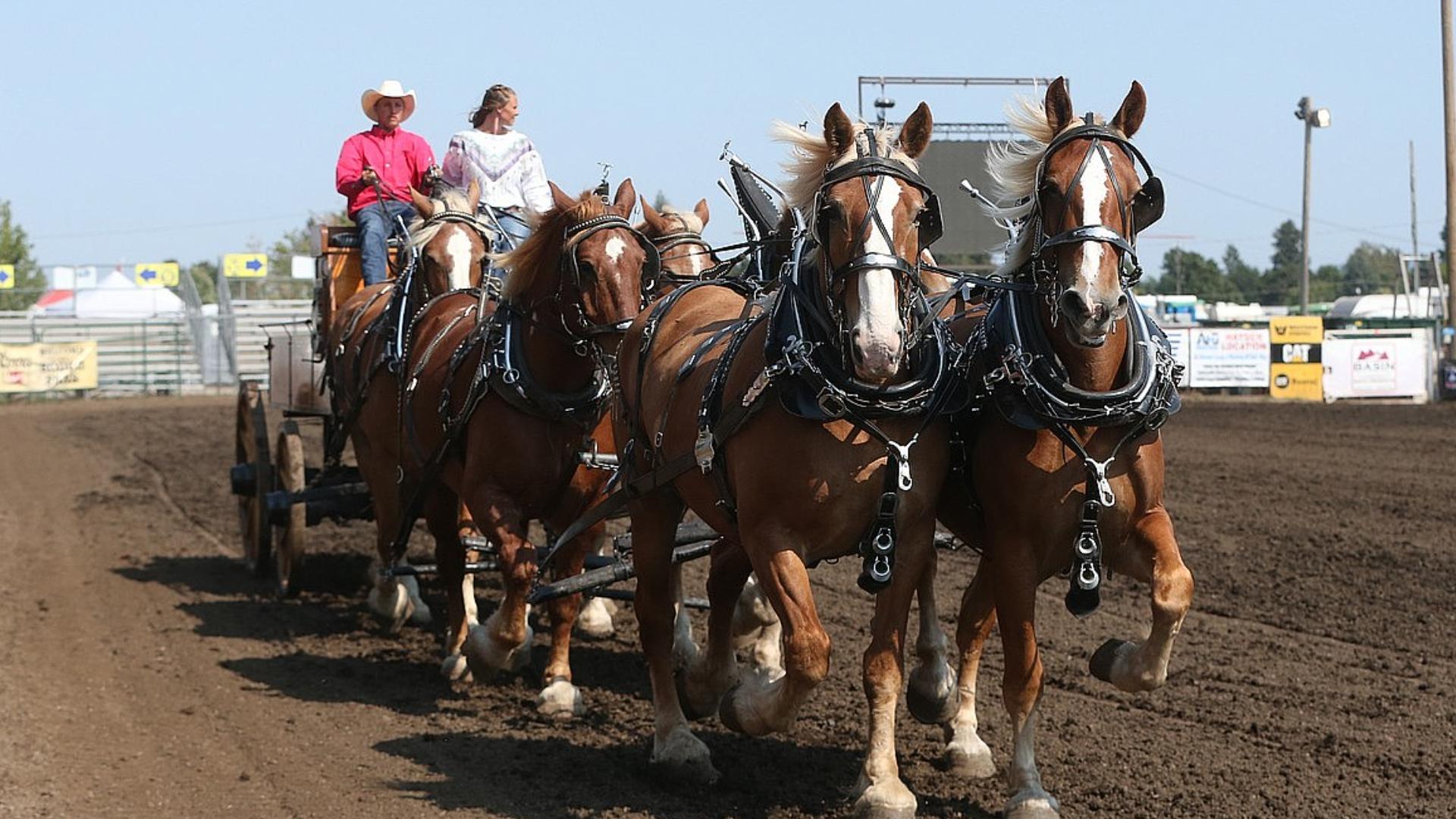 Kootenai County commissioners approve new fairgrounds agreement | krem.com