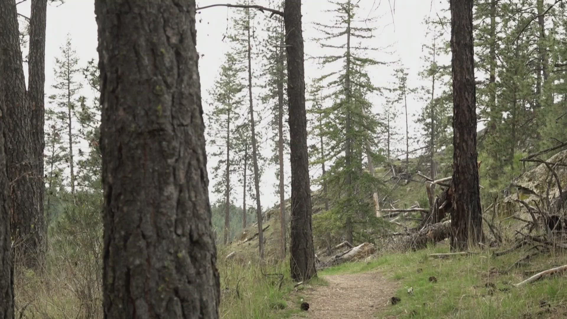 Boomtown: Construction at Knothead Loop Trailhead set to enhance safety ...